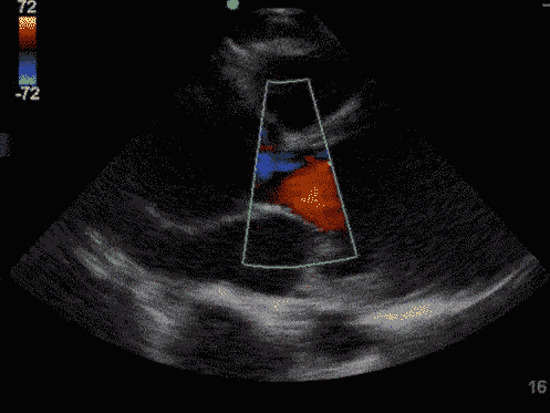 Image Atlas Home — TPA