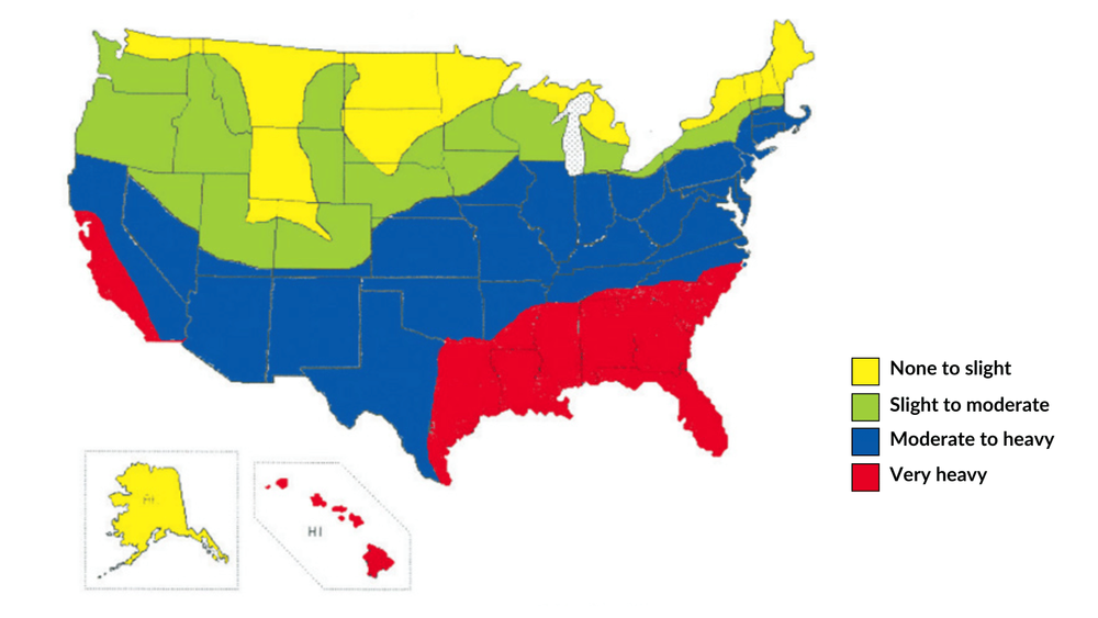 Termites & Foam Insulation: A Big Problem Could Get Bigger — TermiStop