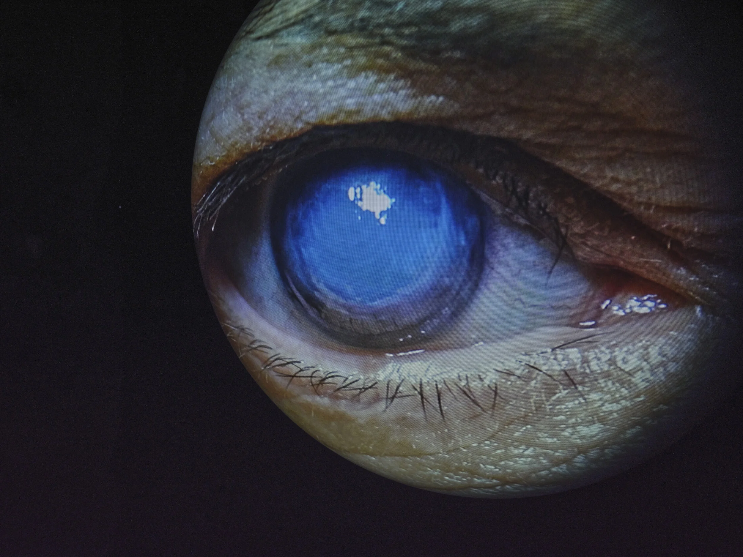 Tony Oursler / gallery