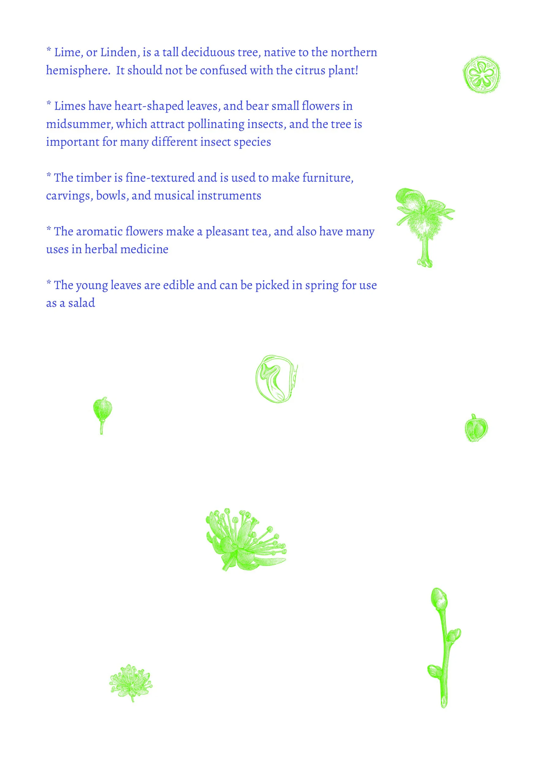 The Chimera Plantarium Project — Primary