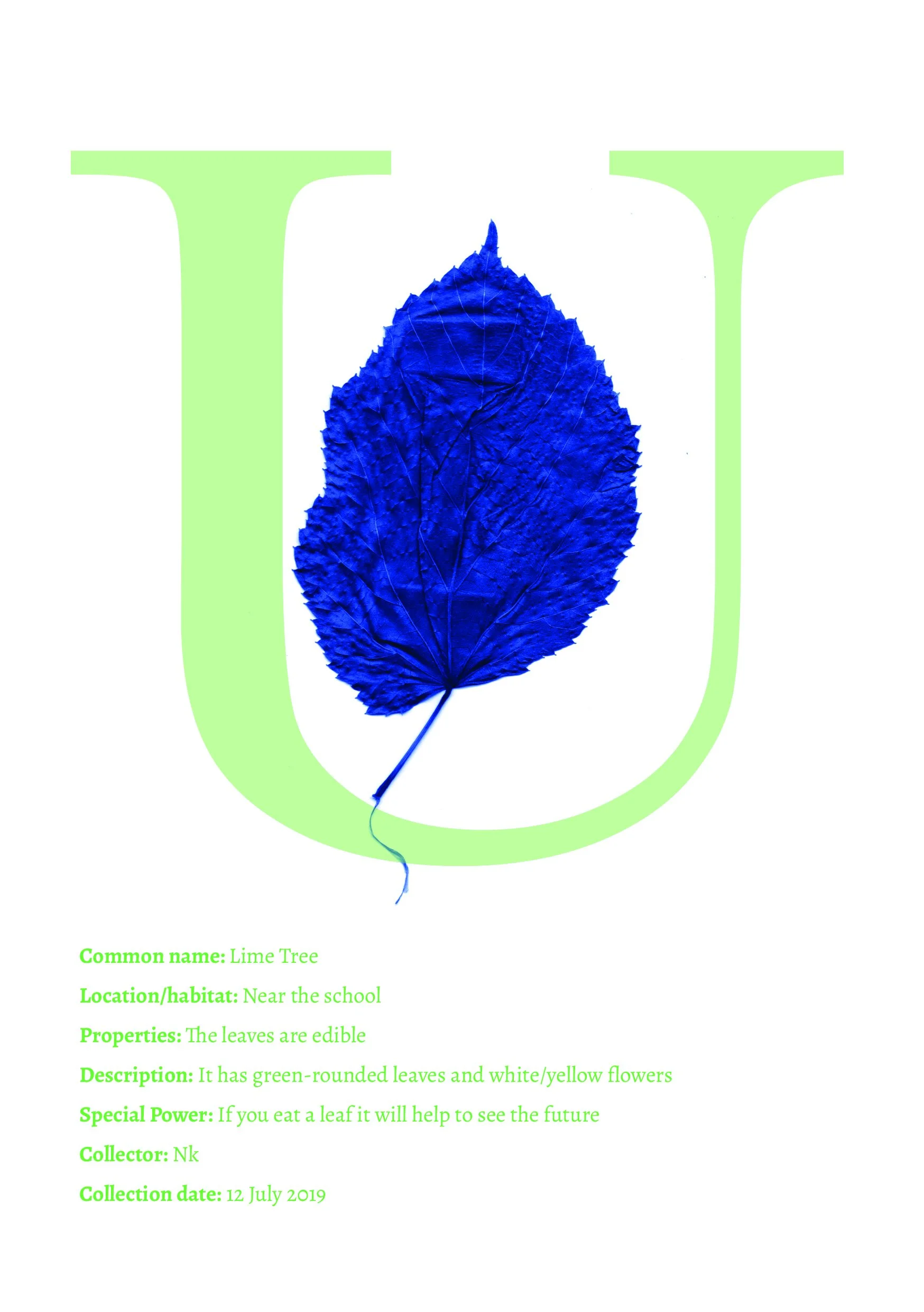 The Chimera Plantarium Project — Primary