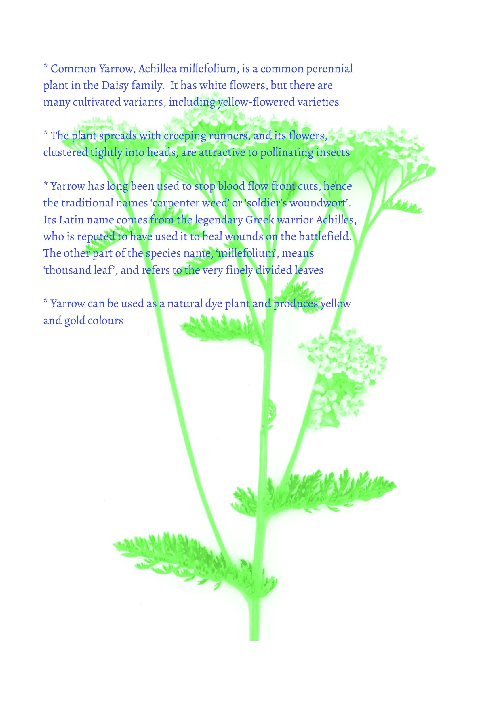 The Chimera Plantarium Project — Primary