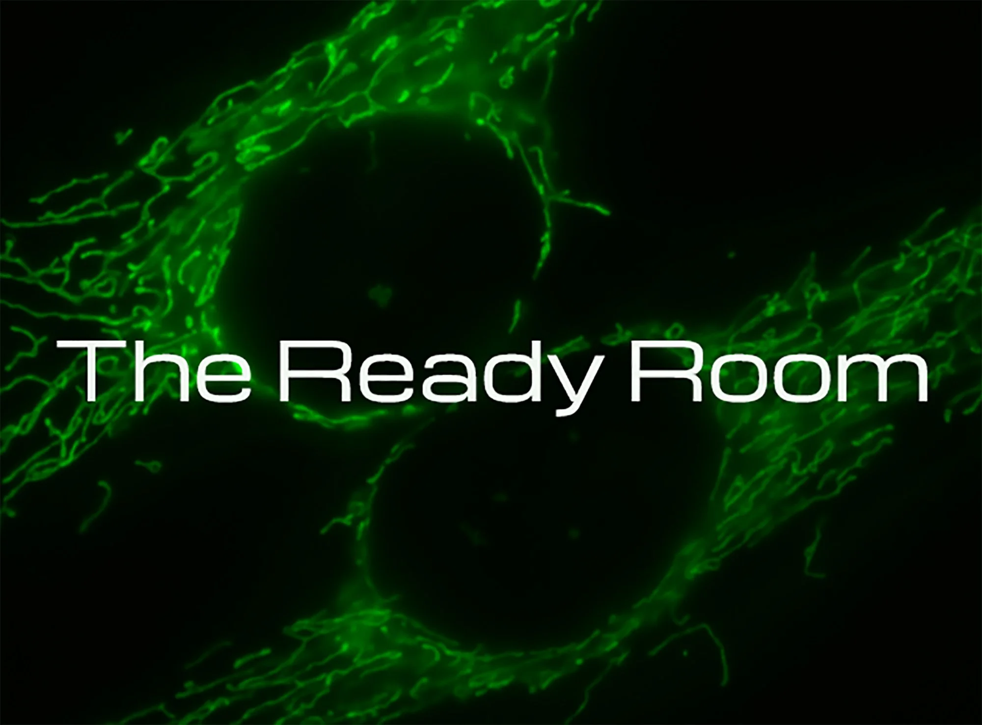 What's On At Primary — Primary