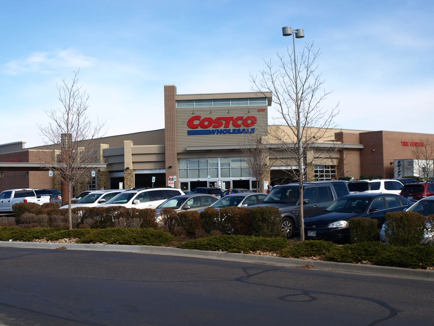 Large Format — Rogue Development