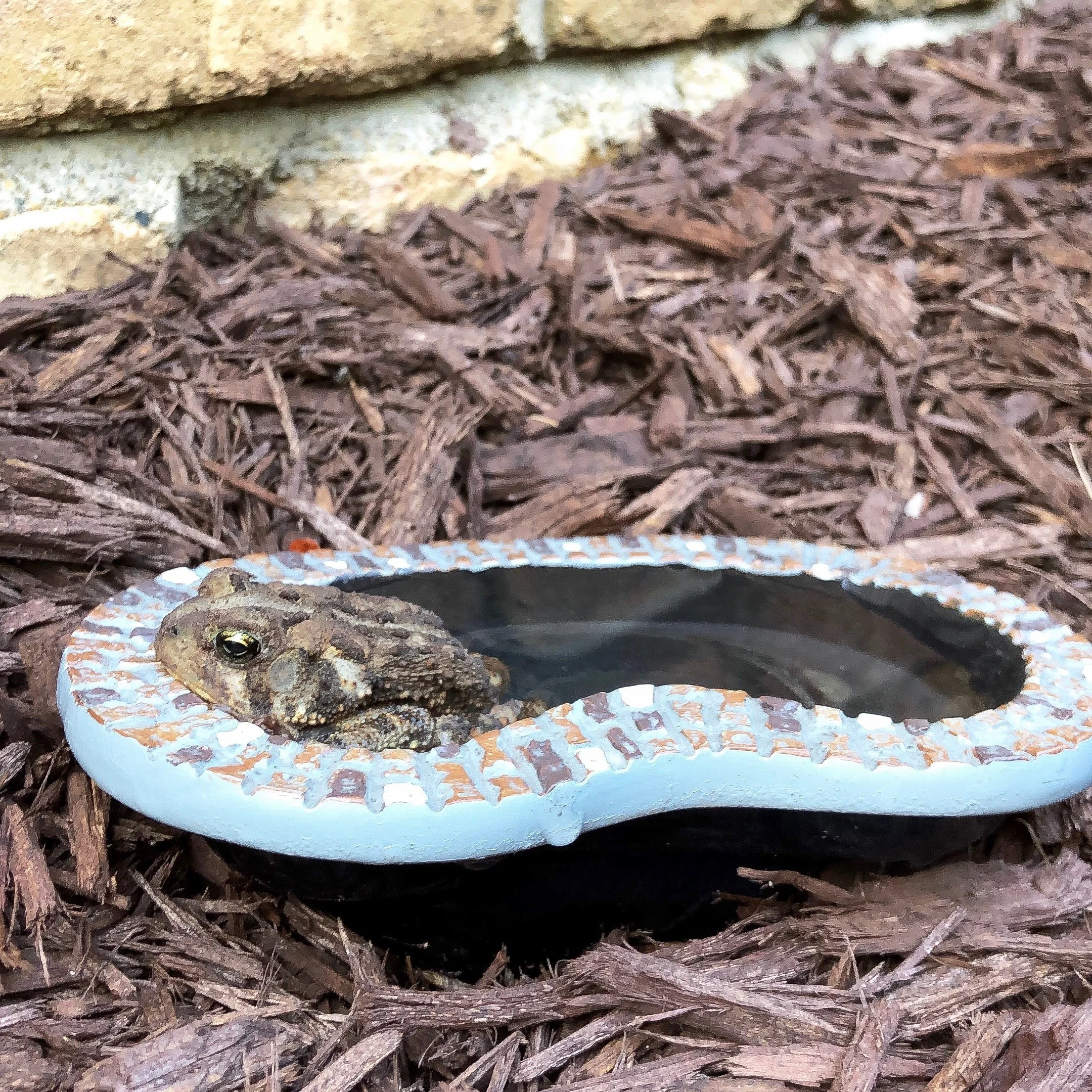 DIY: Toad Abode — Home By Hiliary