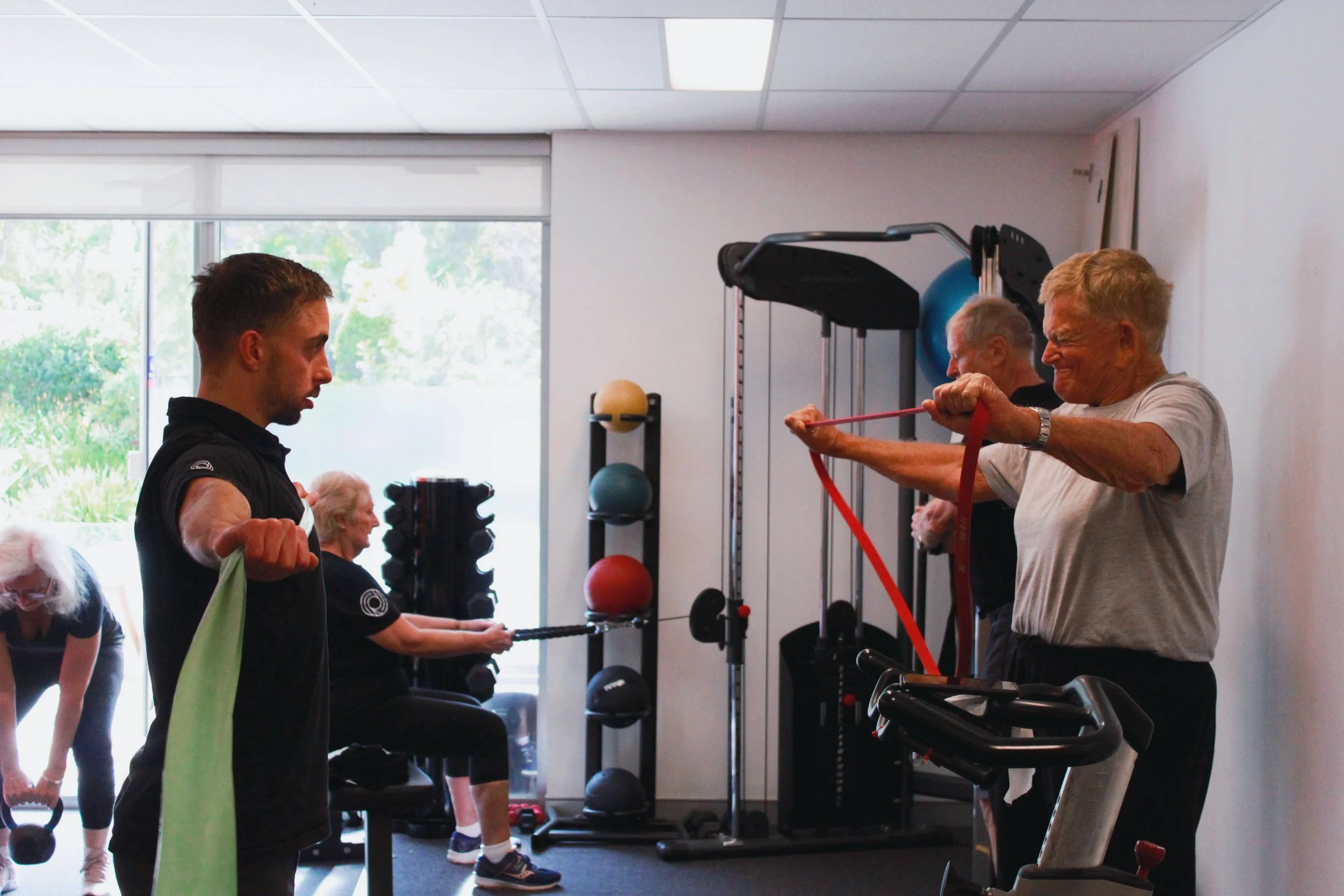 NDIS Exercise Physiologists in Success