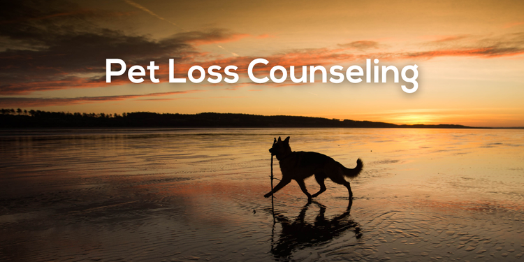 Pet Loss and Grief Counseling — BirchBark Foundation