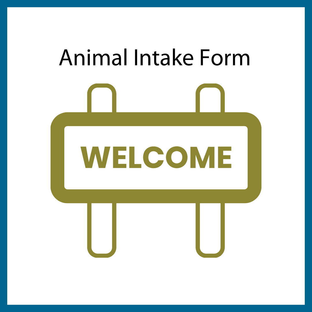 Rocky's animal intake and outcome forms — BirchBark Foundation