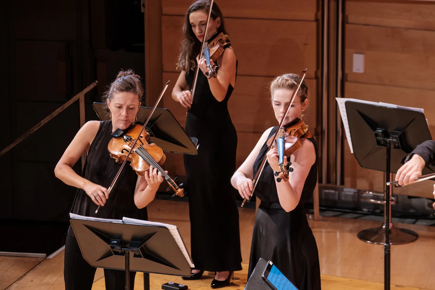 Australian Romantic & Classical Orchestra - Musical Narratives