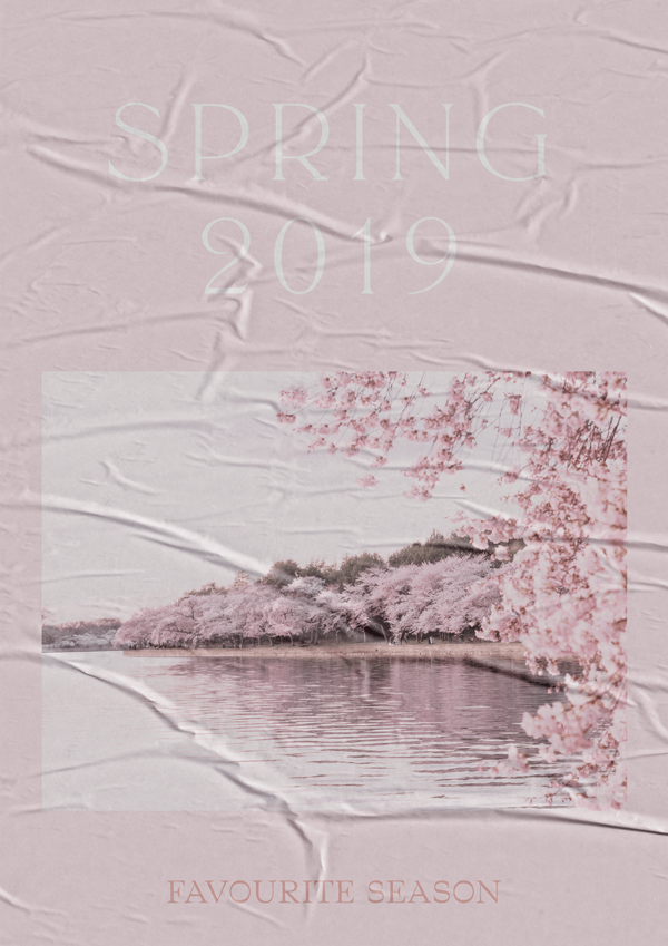 Spring 2019 — phylleli