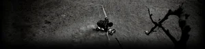 MOUNTAIN BOARDS — SHOP — MBS.COM