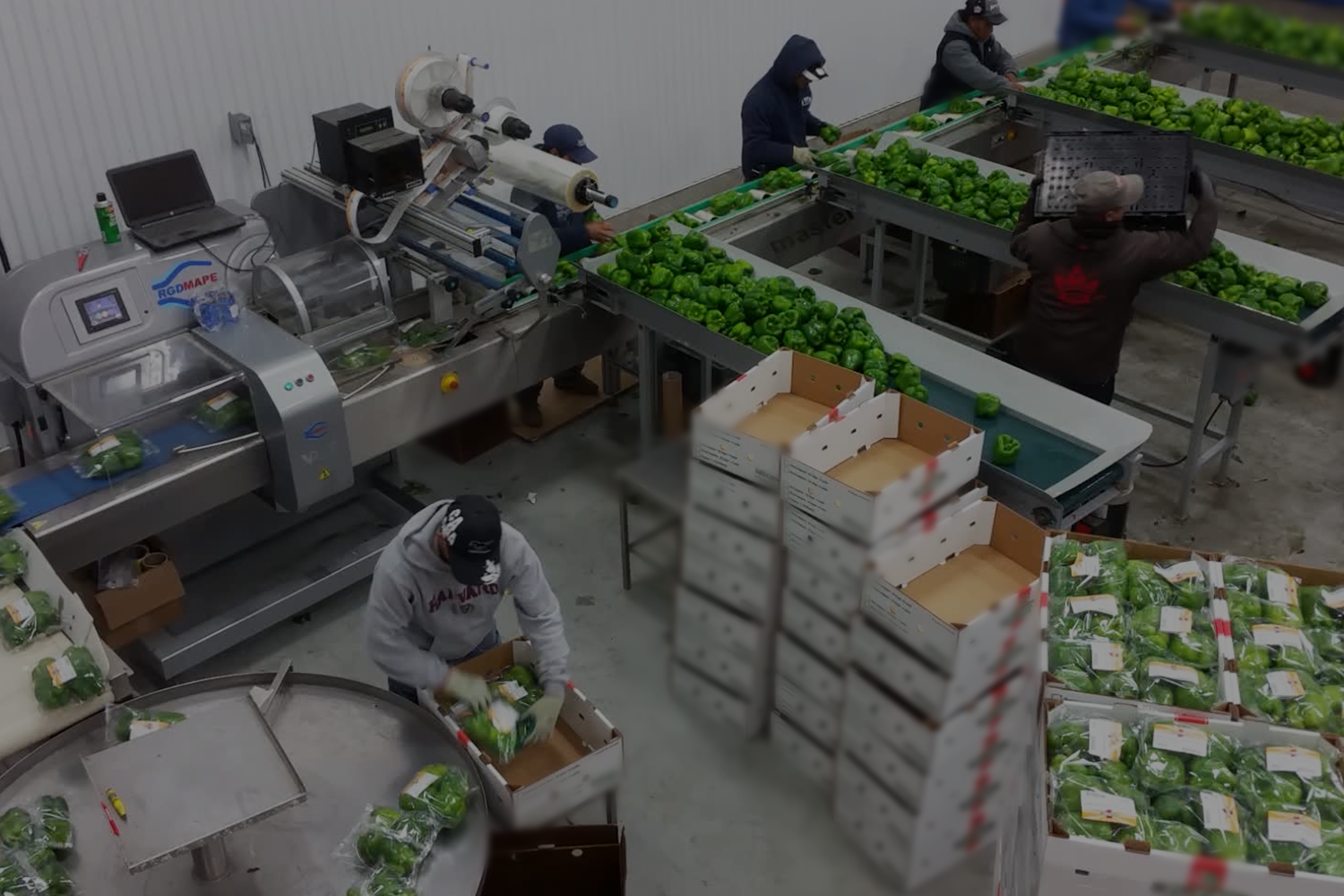 Packaging for Produce Companies | Crawford Packaging