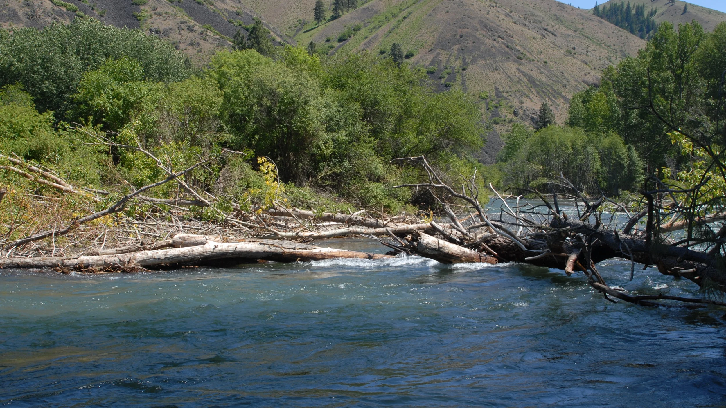 Naches River Guided Trips | Ellensburg Angler
