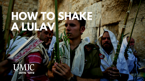 How to Shake a Lulav — Union of Messianic Jewish Congregations