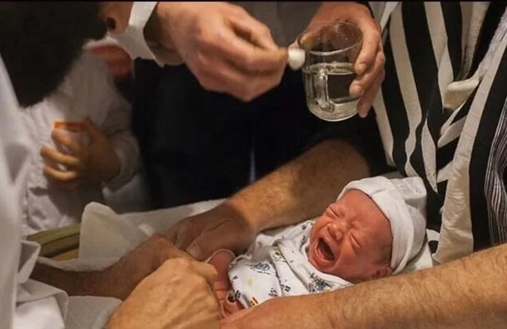 Cut into Covenant: The Passion and Promise of Messianic Judaism — Union ...