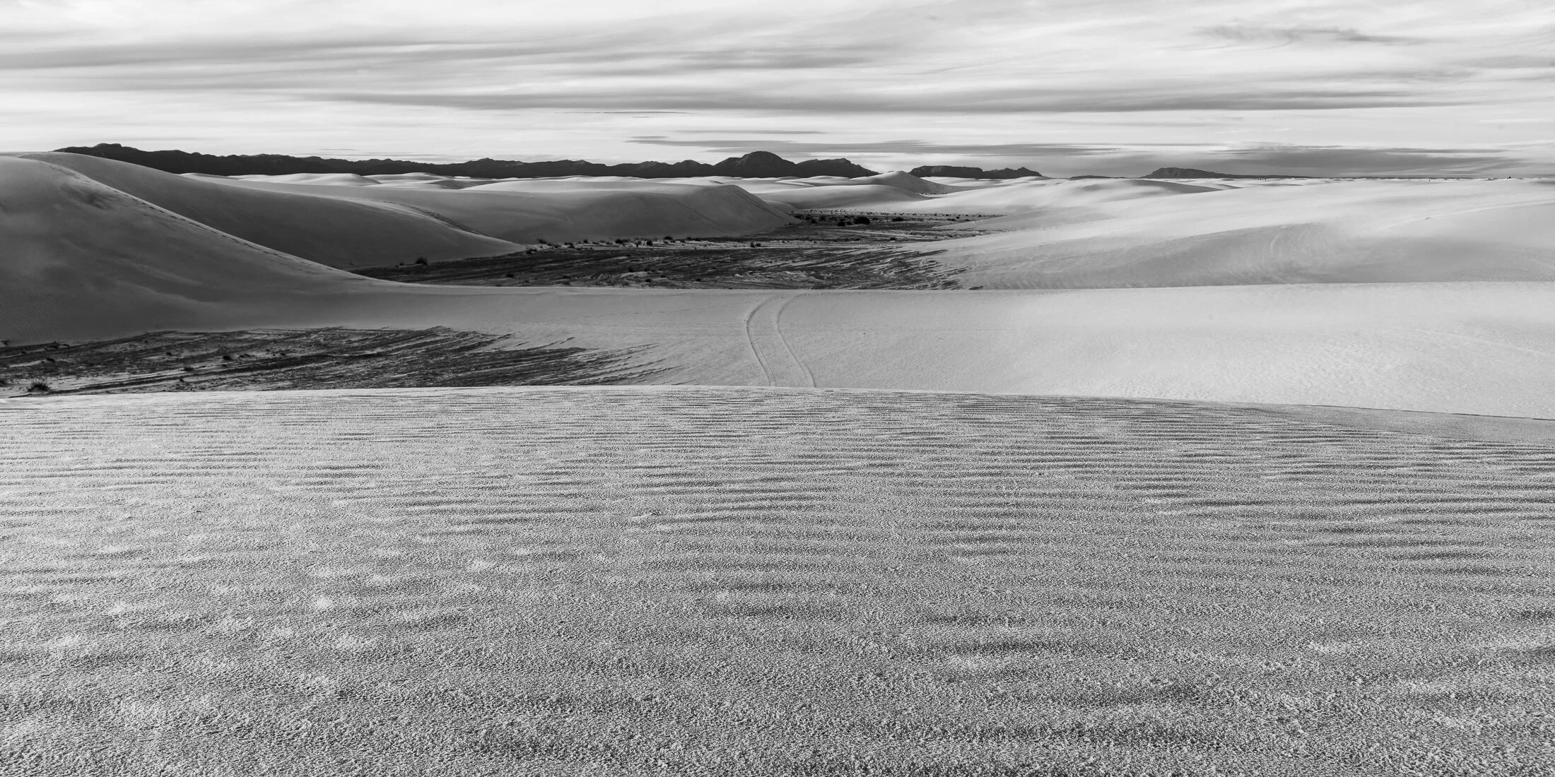 Black and White Photography — Michael Ryno Photography