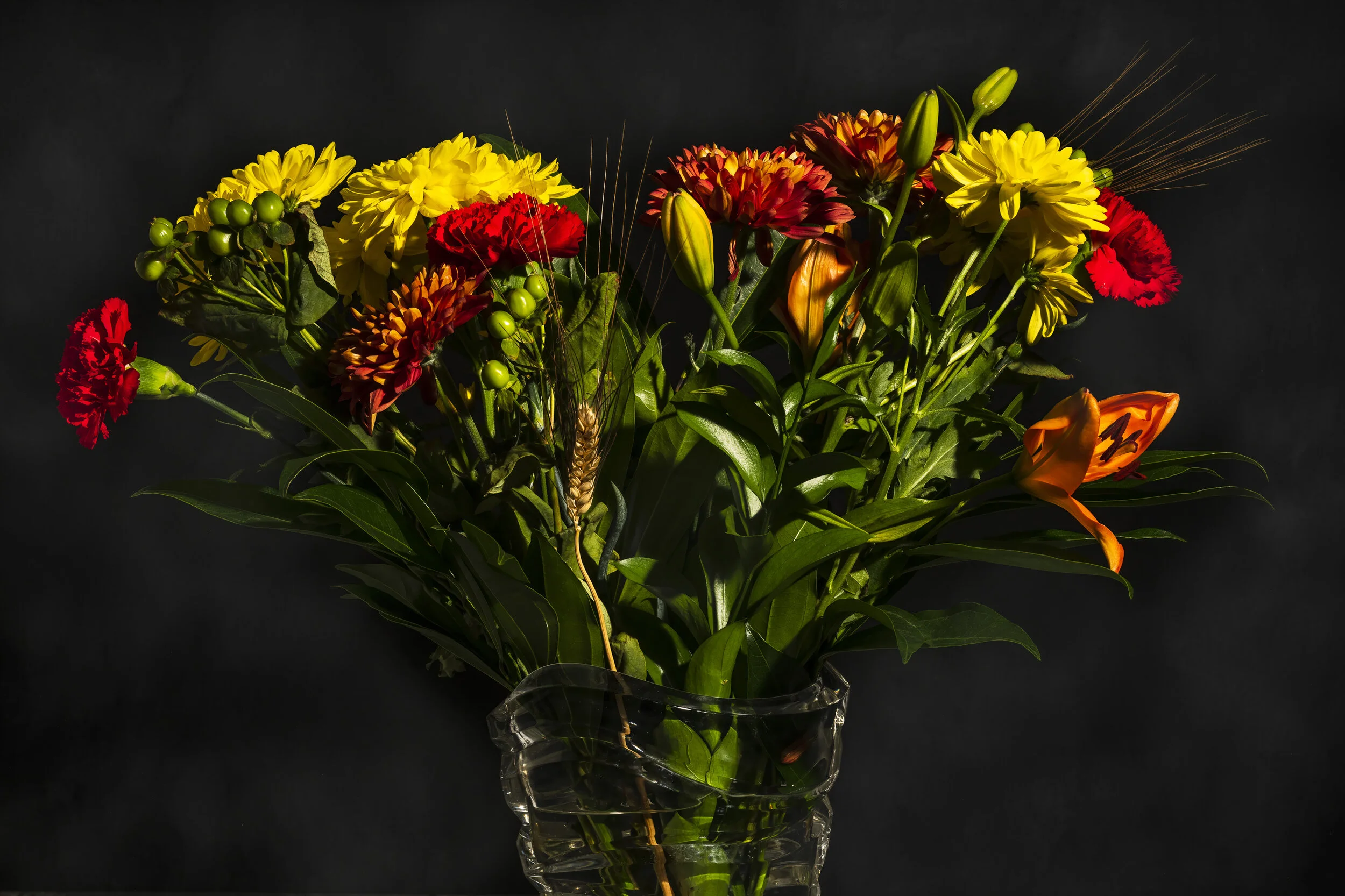 Macro & Abstract — Michael Ryno Photography