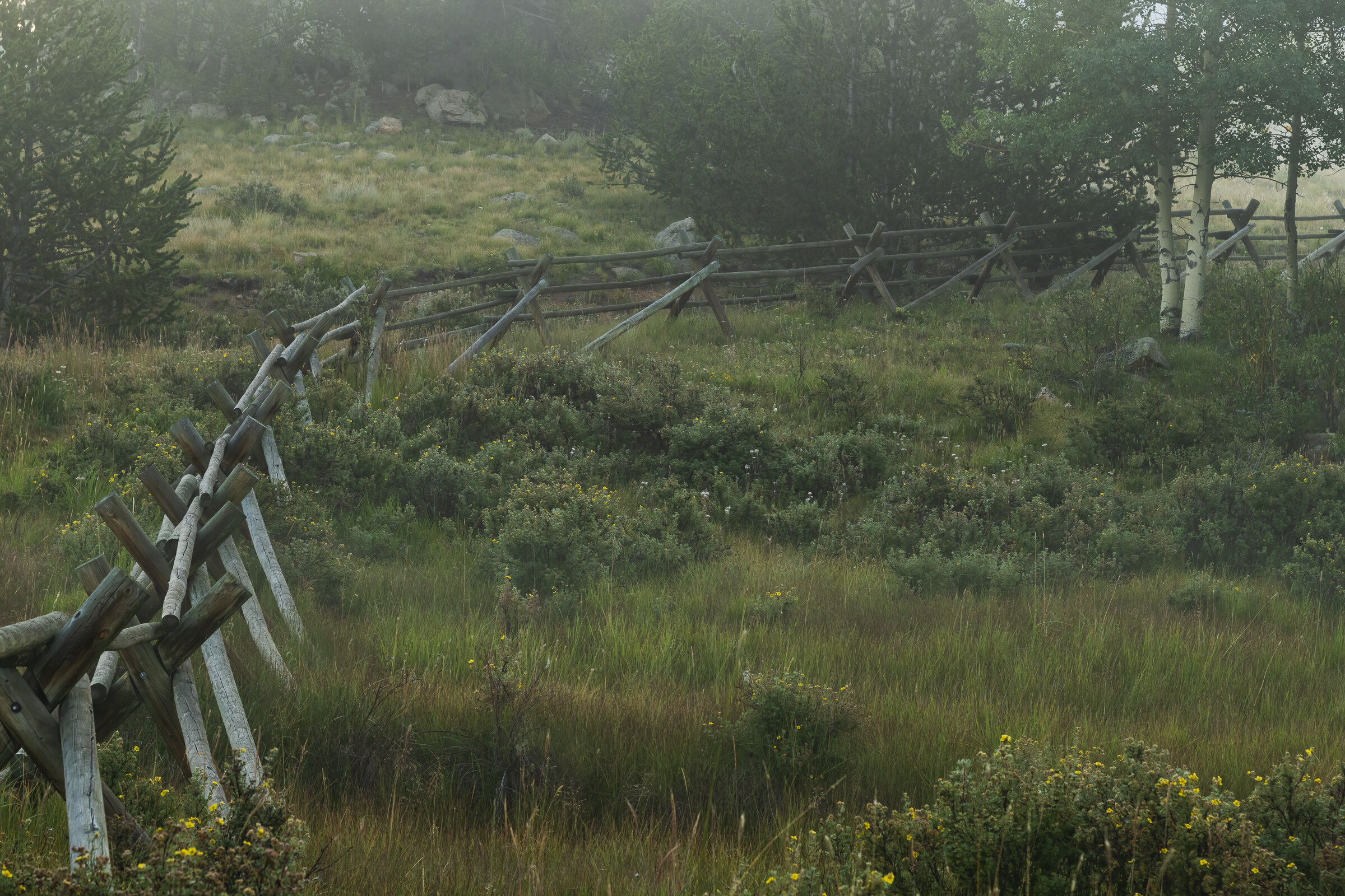 Colorado — Michael Ryno Photography