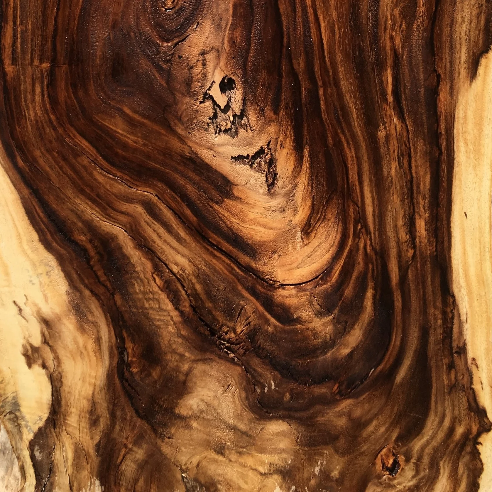 WOOD SLABS — Conejo Hardwoods