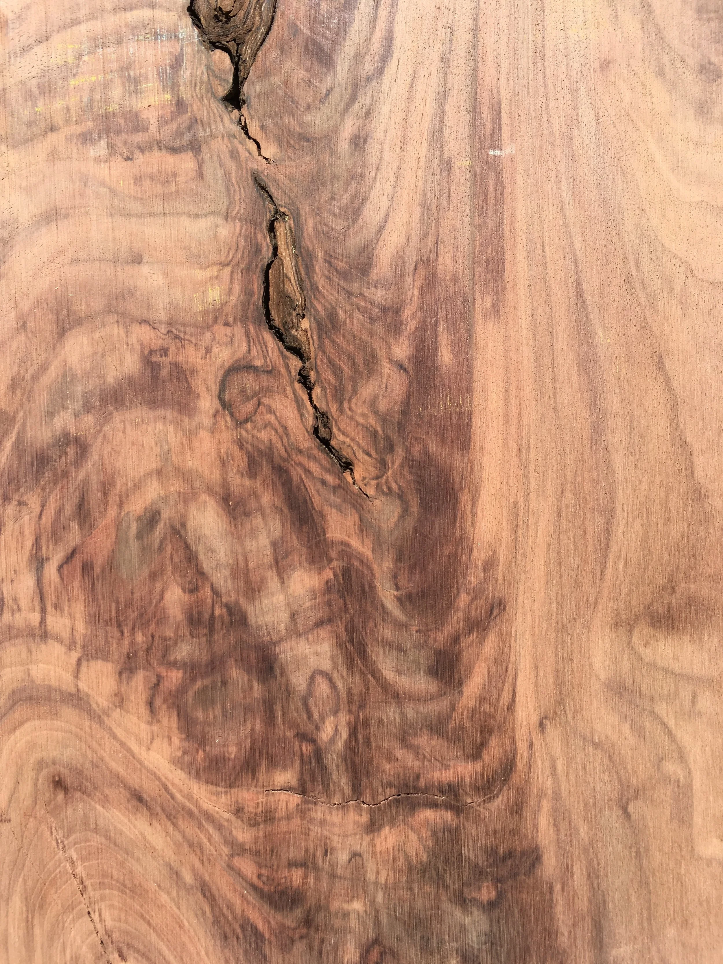 WOOD SLABS — Conejo Hardwoods