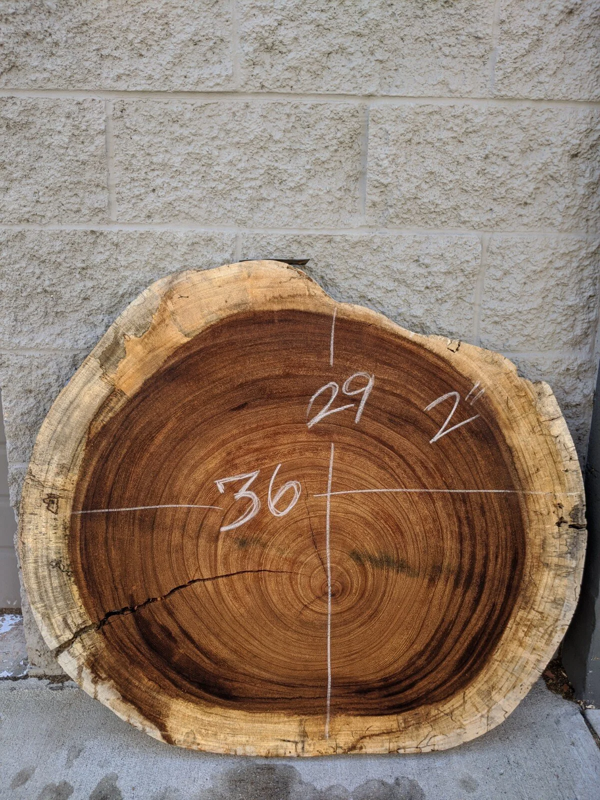 WOOD SLABS — Conejo Hardwoods