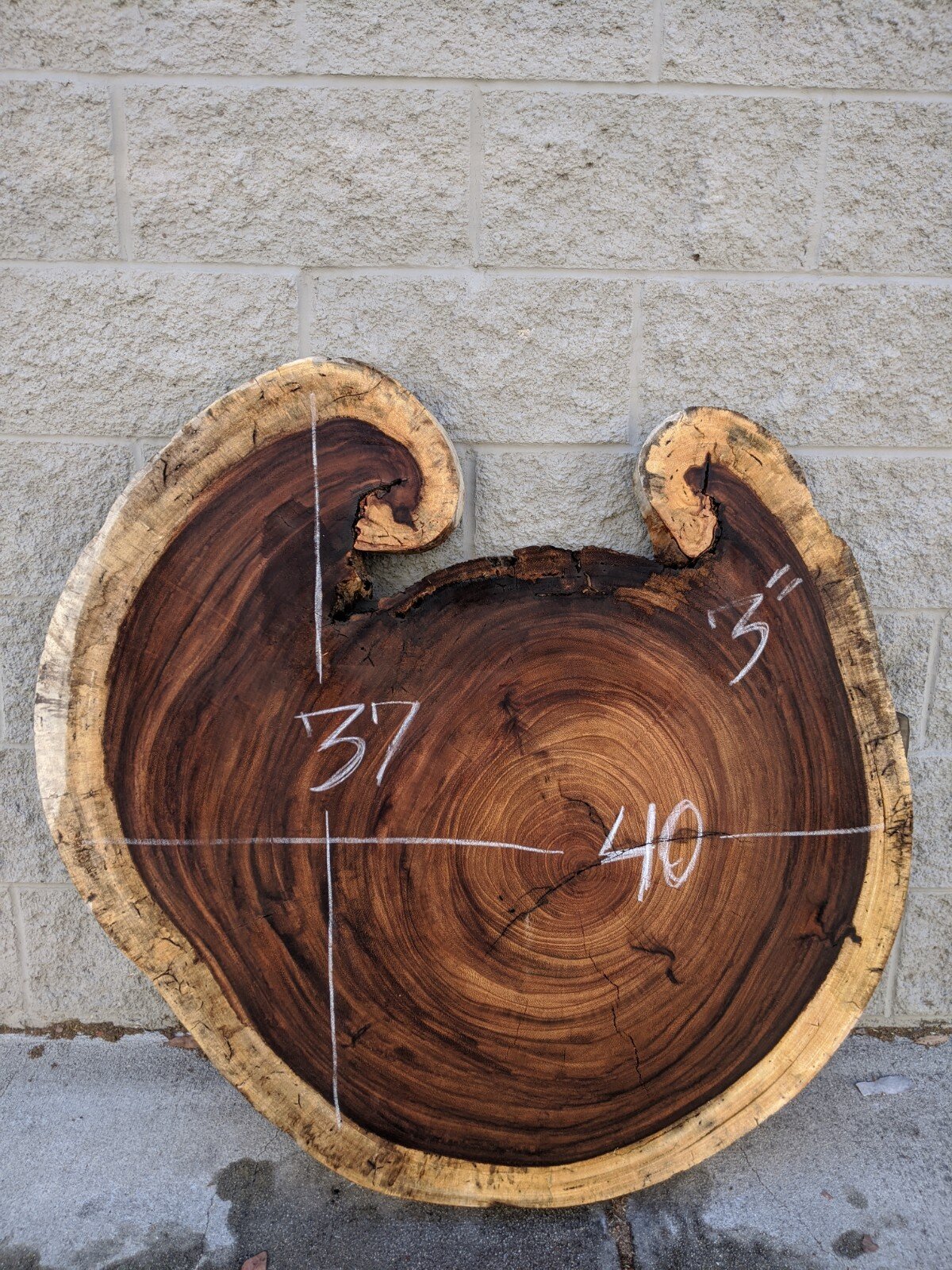 WOOD SLABS — Conejo Hardwoods