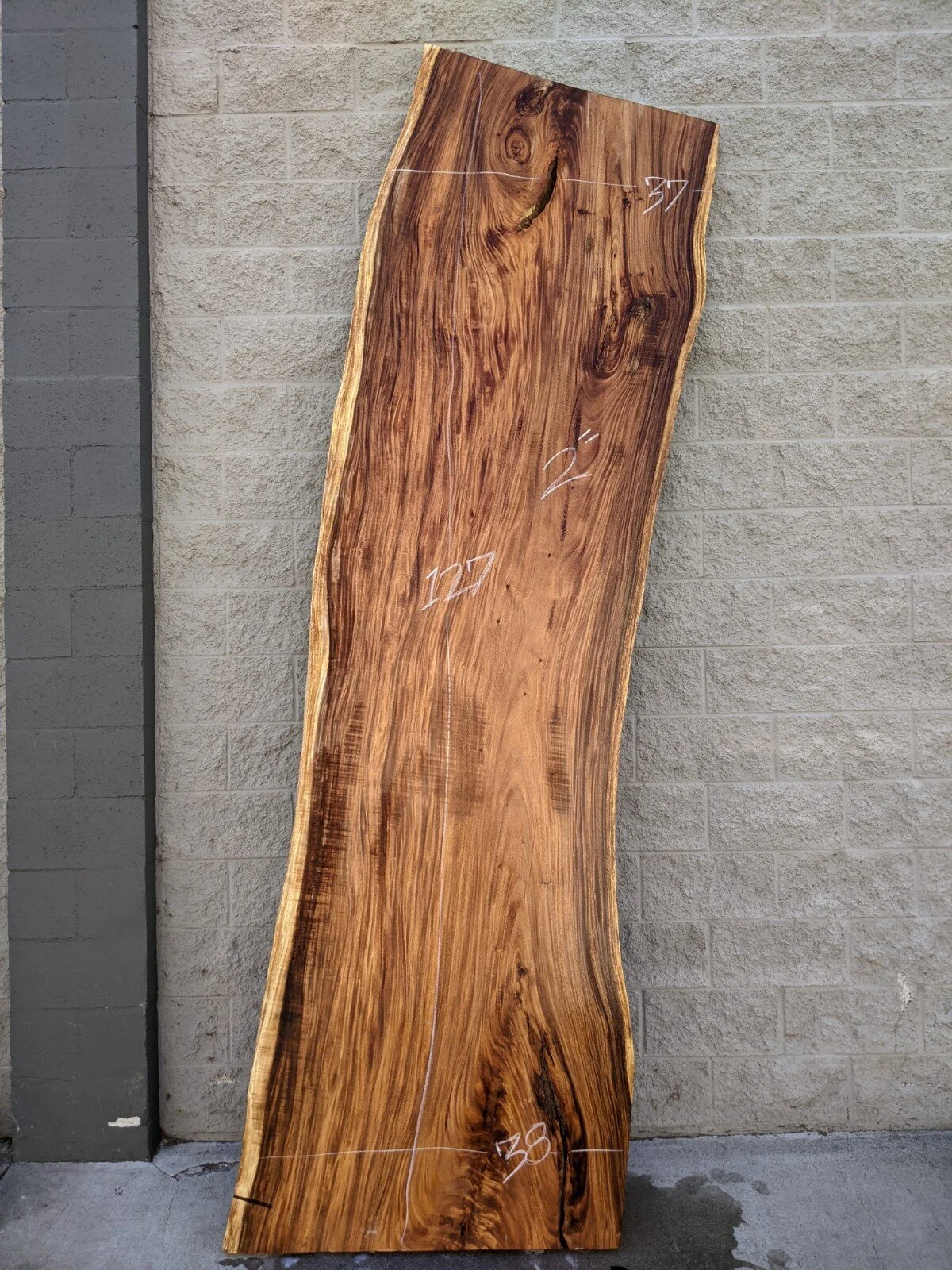 WOOD SLABS — Conejo Hardwoods