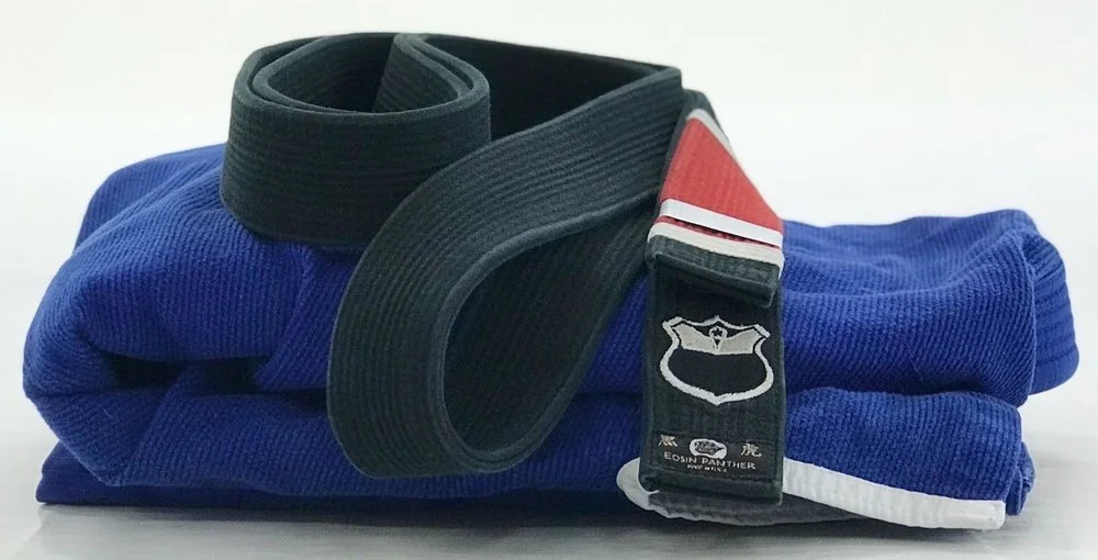Safety Harbor Jiu-Jitsu — BJJ Blog