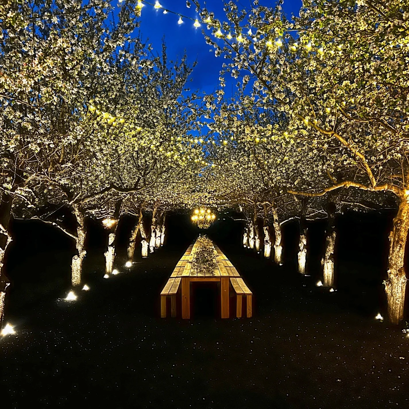 Liberty View farm- Wedding venue in Highland