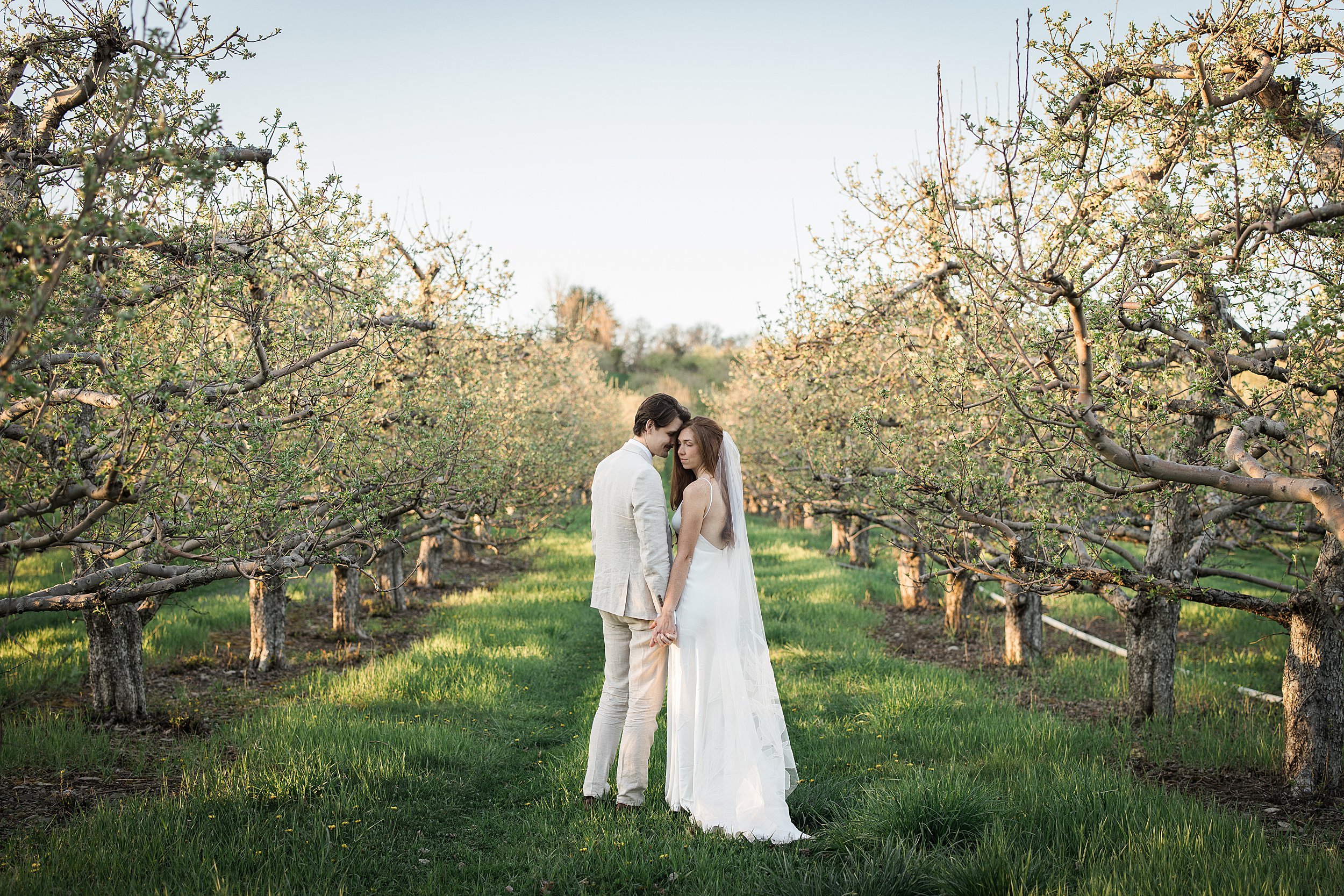 Liberty View farm- Wedding venue in Highland