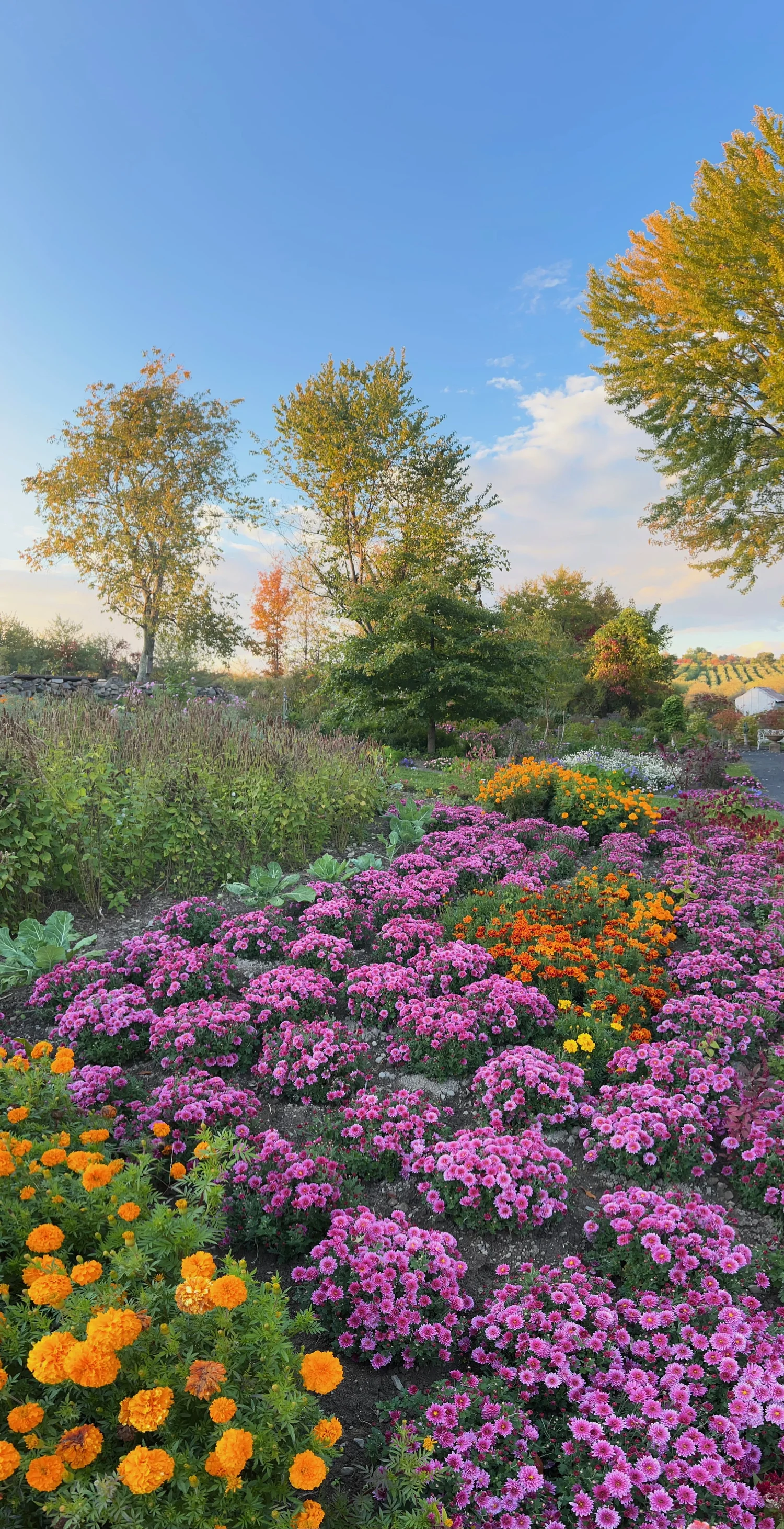 Liberty View farm- Wedding venue in Highland