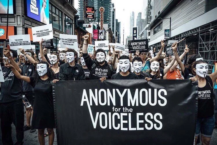 Anonymous for the Voiceless