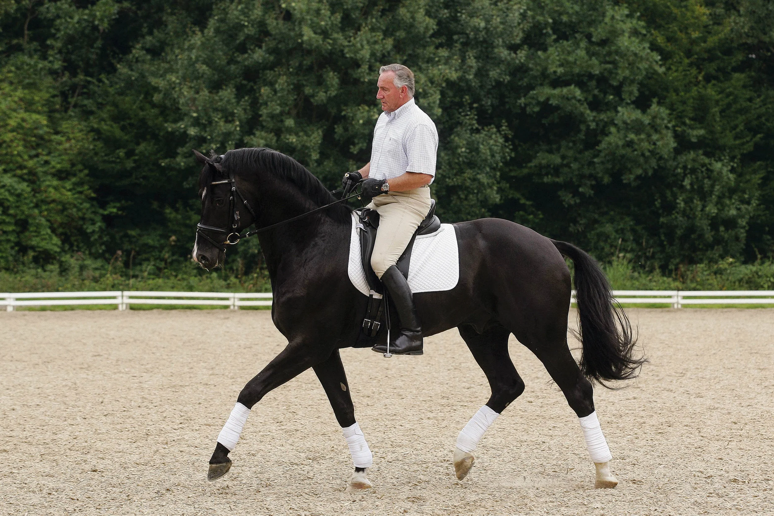 His Highness — Leatherdale Farms