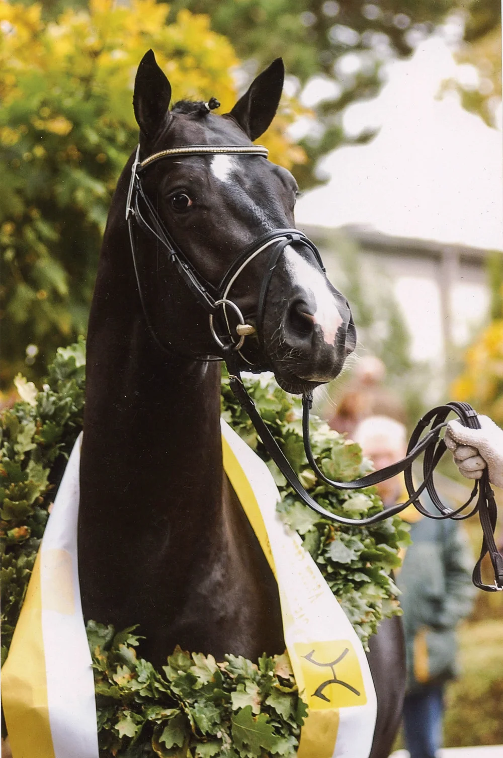 His Highness — Leatherdale Farms