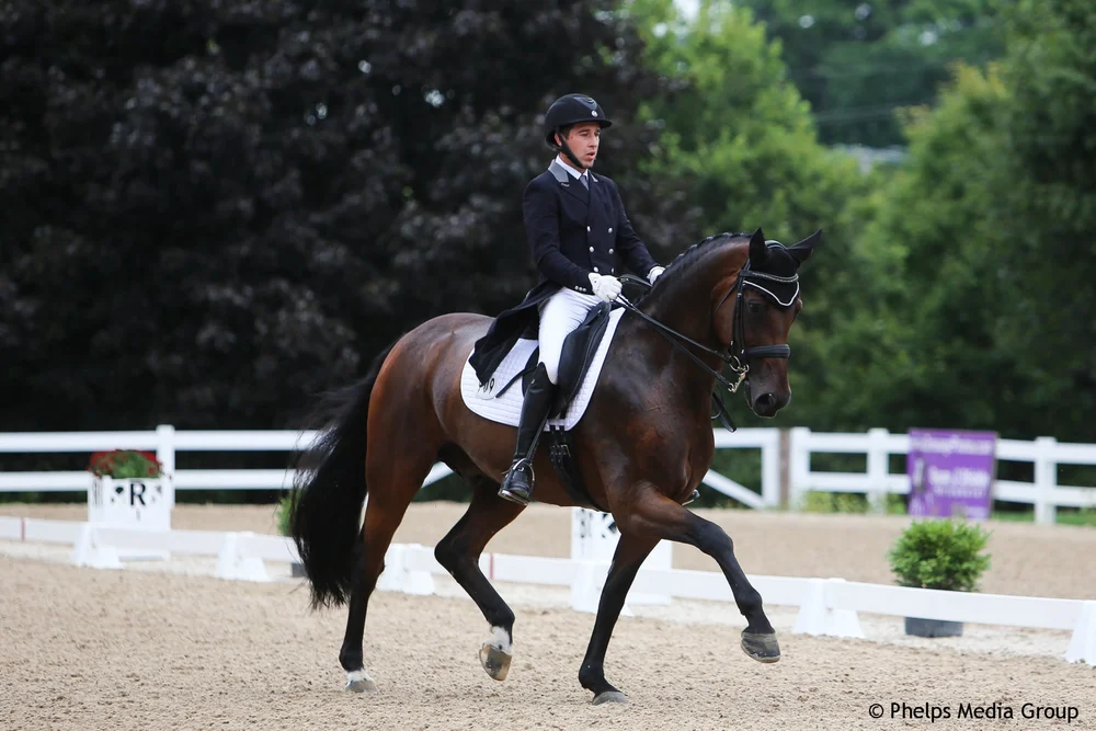 Performance Horses Overview — Leatherdale Farms