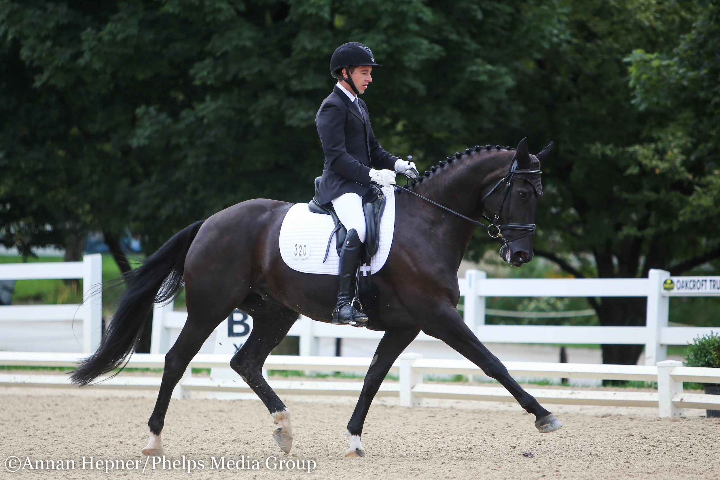 Performance Horses Overview — Leatherdale Farms