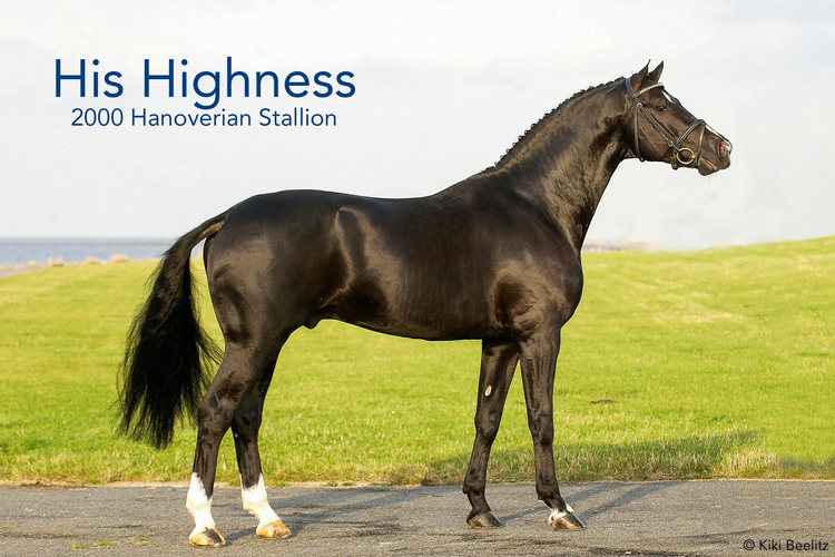 His Highness — Leatherdale Farms