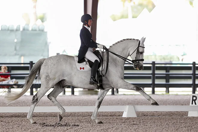 Performance Horses Overview — Leatherdale Farms