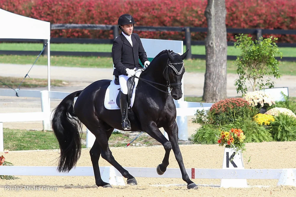 Performance Horses Overview — Leatherdale Farms