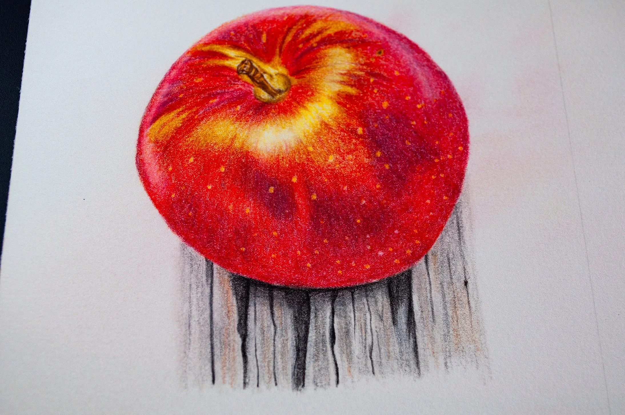 Marco Tribute Colored Pencil Art Vs Phoenixcolor Colored Pencil Art ...