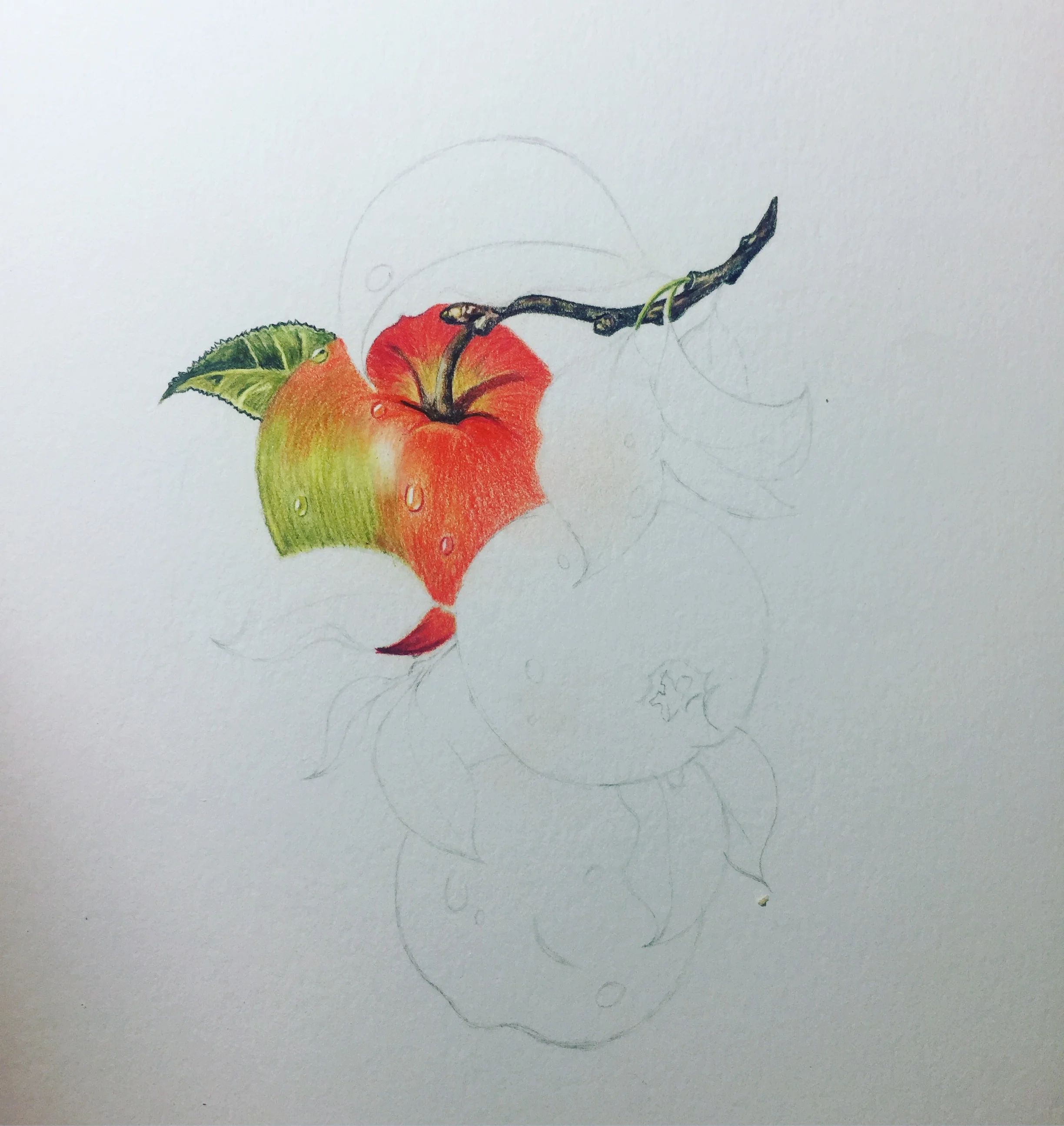 Caran d'Ache Pablo Apple Drawing — The Art Gear Guide