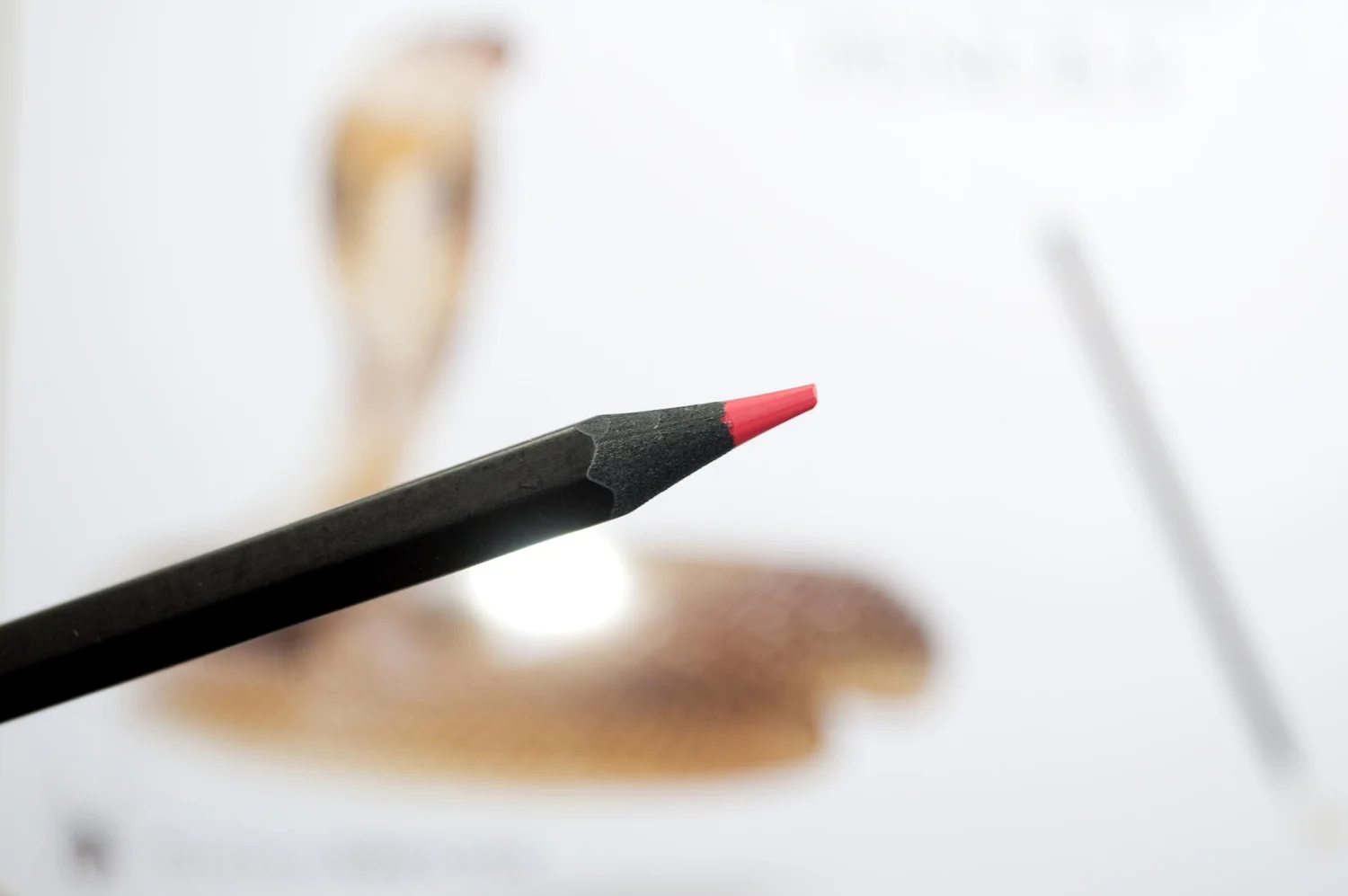 Cobra Colored Pencils — The Art Gear Guide