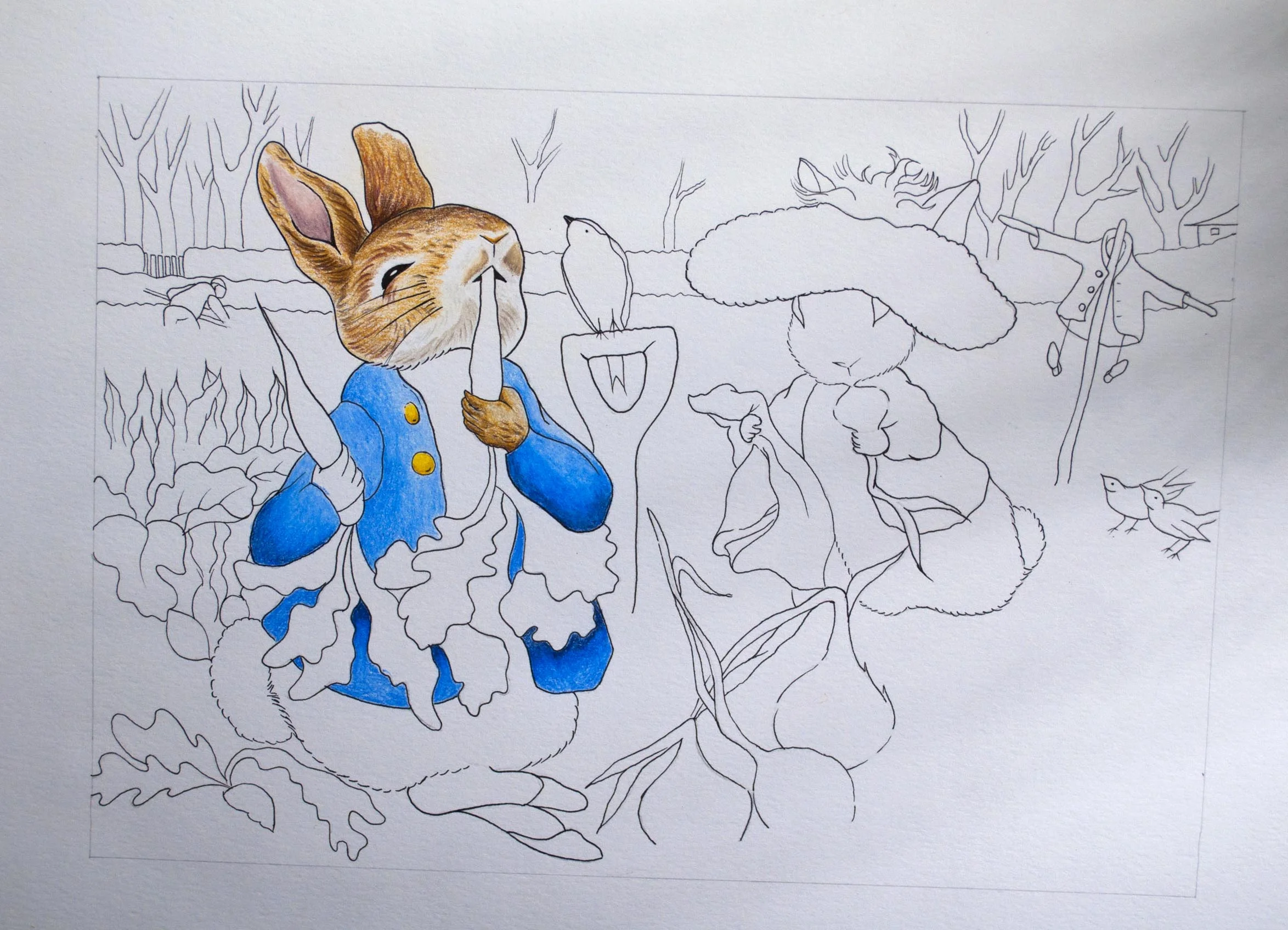 Beatrix Potters Peter Rabbit — The Art Gear Guide
