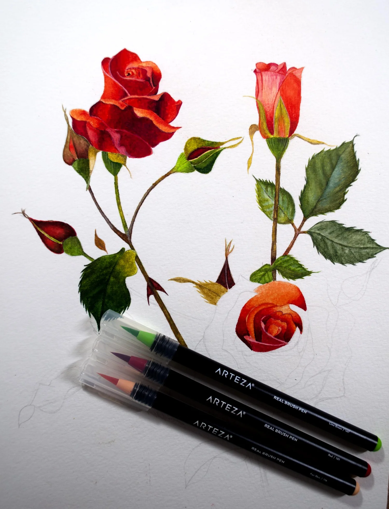 Arteza Brush Pens Botanical Art — The Art Gear Guide