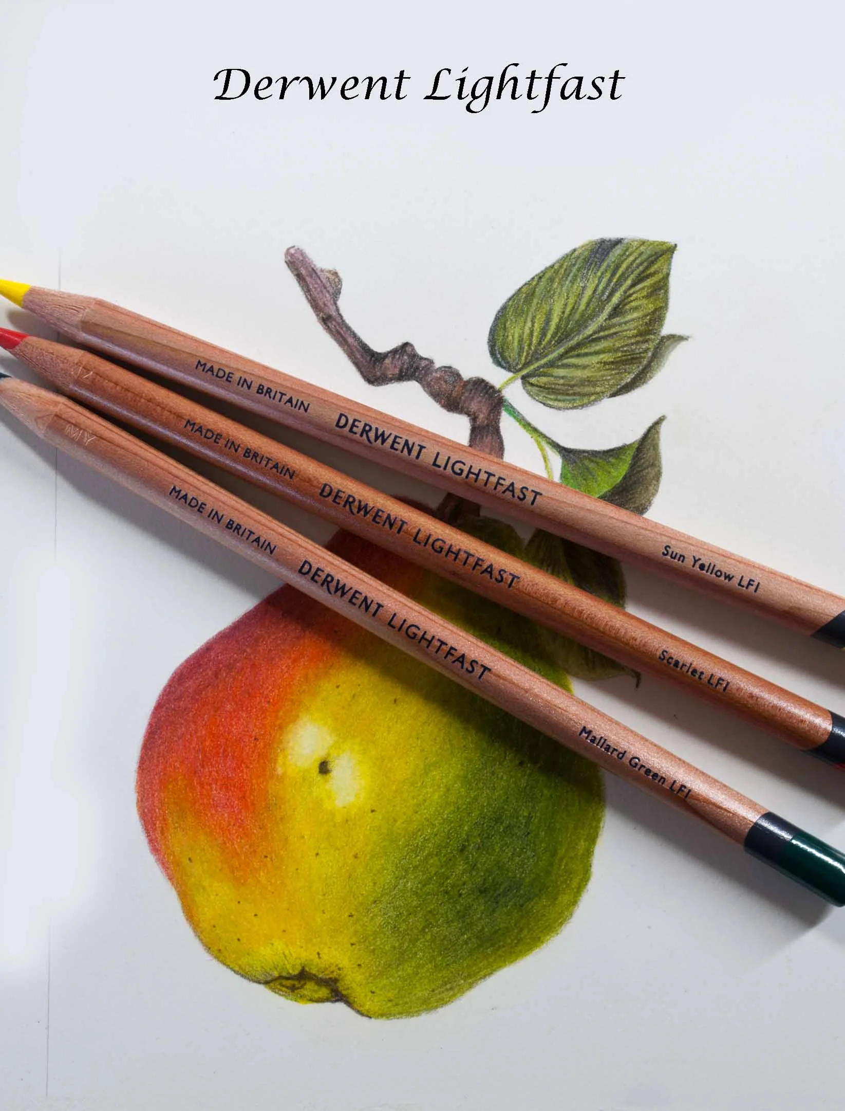 Derwent Artists, Lightfast, Coloursoft & Procolour Comparison — The Art ...