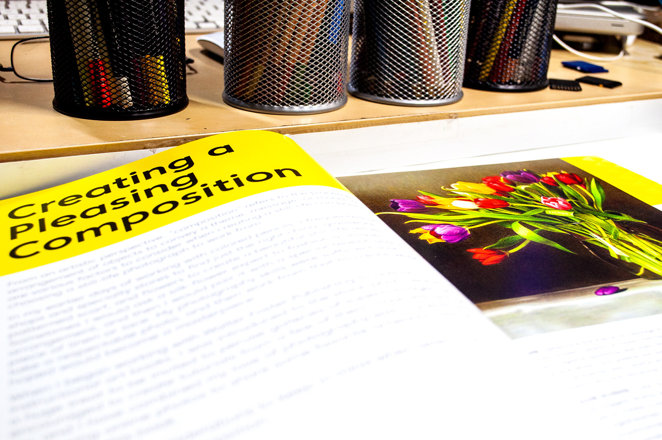 Realistic Still Life In Colored Pencil by Cynthia Knox — The Art Gear Guide