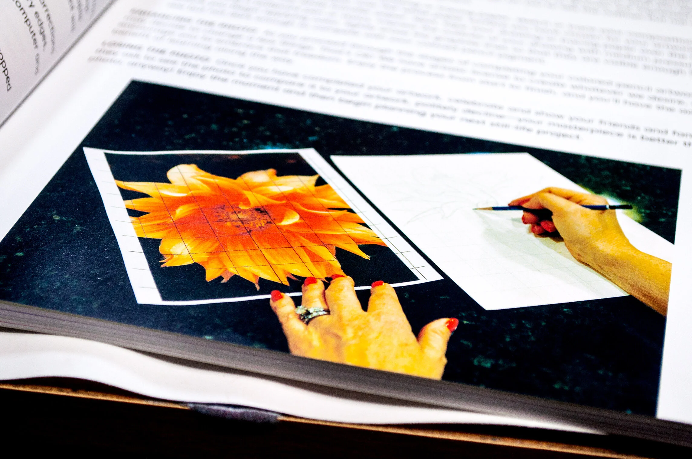 Realistic Still Life In Colored Pencil by Cynthia Knox — The Art Gear Guide