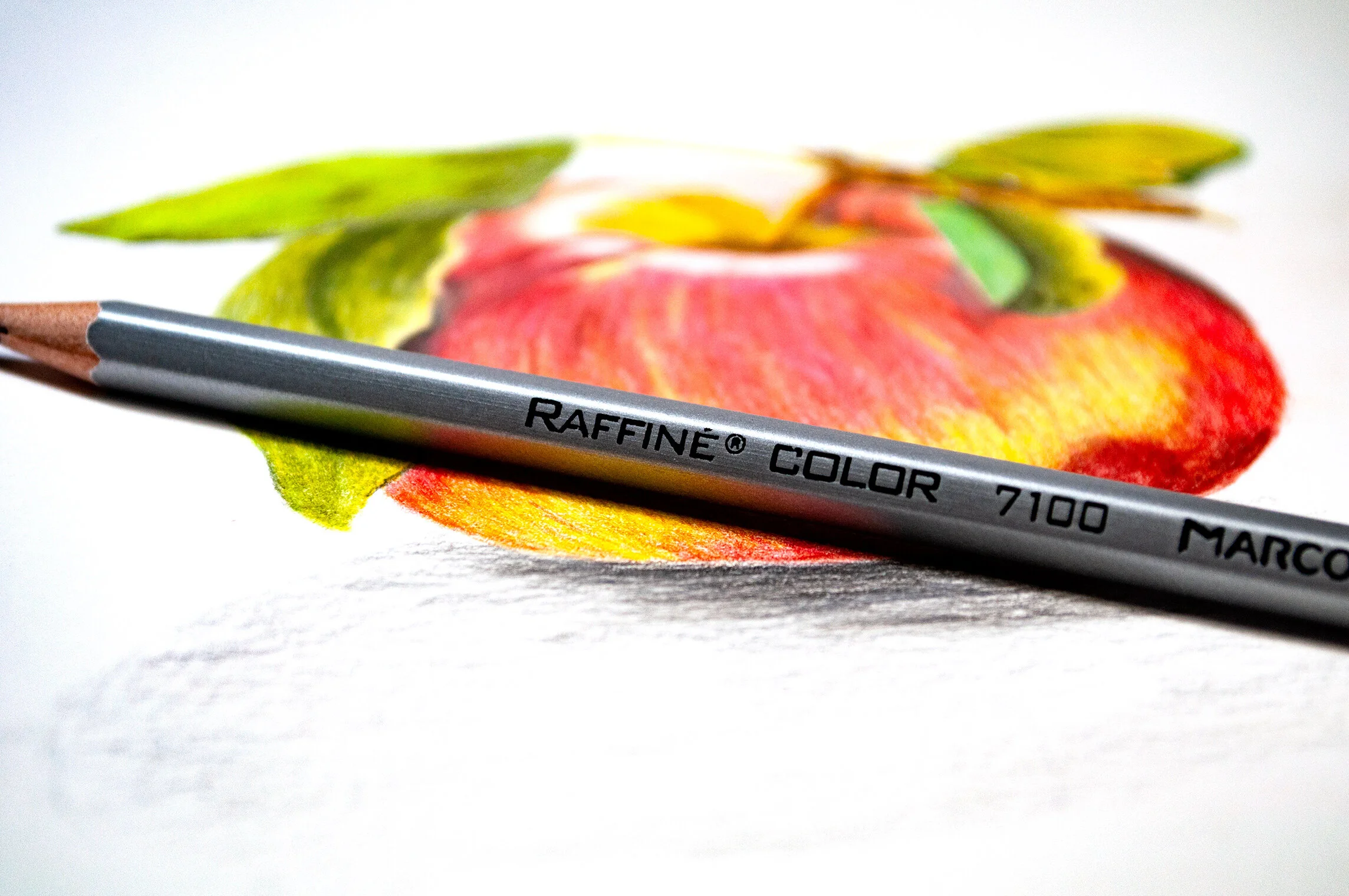 Marco Raffine Botanical Art Demonstration — The Art Gear Guide