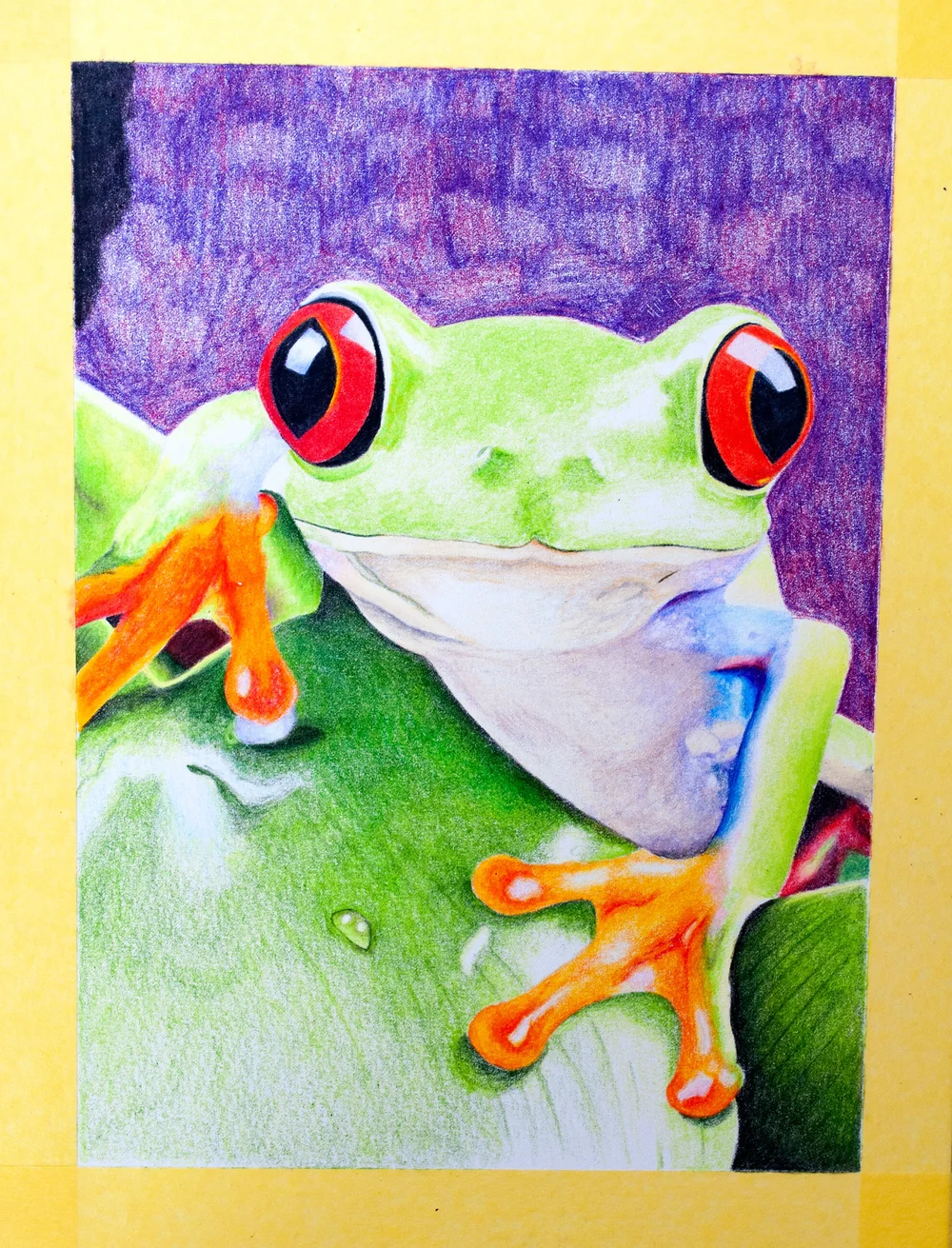 Brutfuner Colored Pencil Artwork | Tree Frog Artwork — The Art Gear Guide