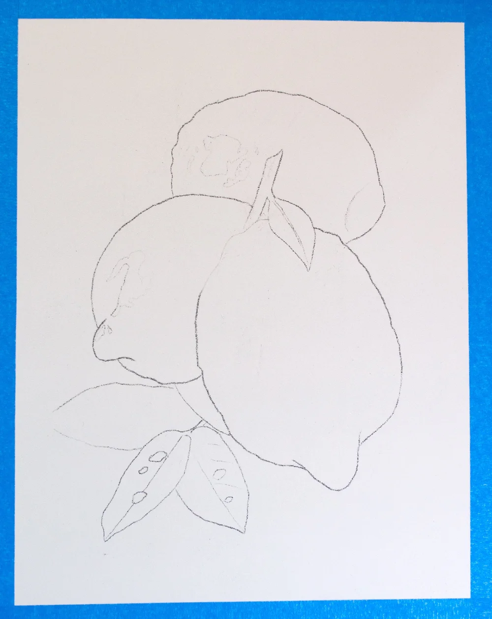 Arrtx 48 Set Of Soft Pastels | Botanical Pastel Artwork — The Art Gear ...